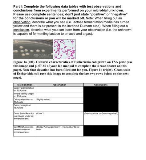 Solved Part I Complete The Following Data Tables With Test