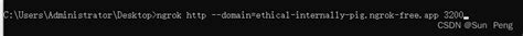 【内网穿透】ngrok实现内网穿透（window版）： Csdn博客