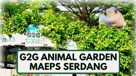 G2g Animal Garden Maeps Serdang Malaysia Youtube