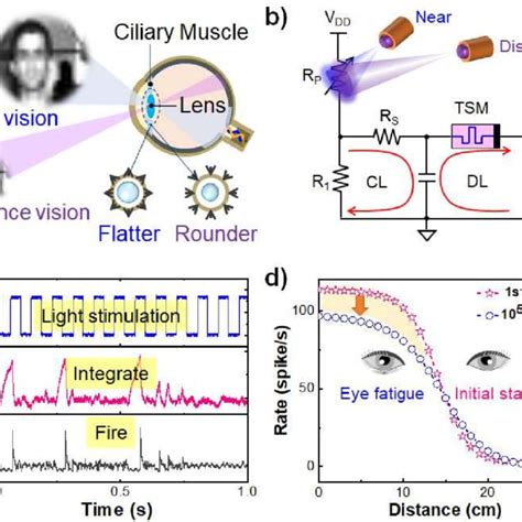 Pdf A Spiking Visual Neuron For Depth Perceptual Systems