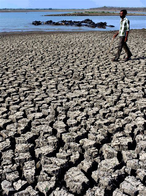 Most Of Karnataka To Be Declared Drought Hit India News