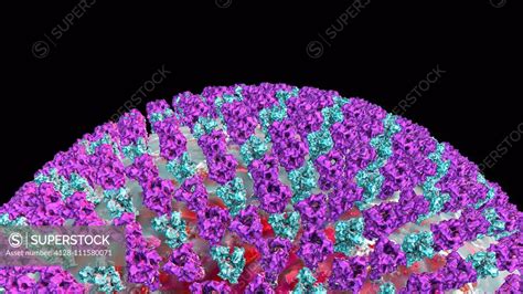 Measles Virus Particle Computer Illustration This Virus From The Morbillivirus Group Of