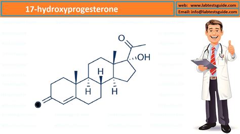 17α Hydroxyprogesterone Lab Tests Guide