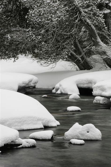 무료 이미지 물 자연 눈 겨울 검정색과 흰색 화이트 강 얼음 날씨 단색화 시즌 동결 흑백 사진 2336x3504 1141598 무료