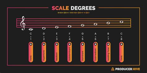 The Major Scale Explained Everything You Need To Know