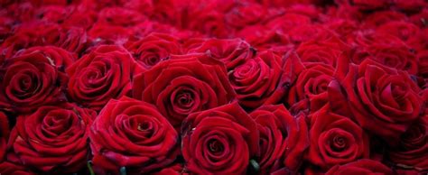 Грестокомерс ЕООД Home Facebook