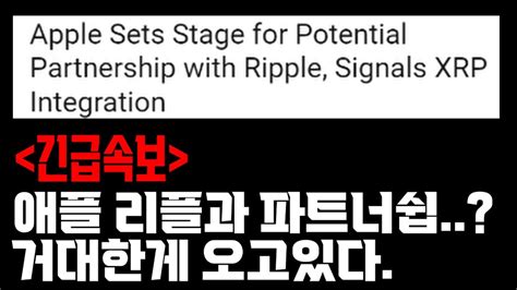 애플 리플과 파트너쉽 리플 비트코인 시가총액 능가할 것 Youtube