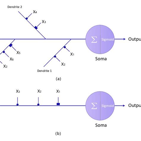 Structure Of The Dendritic Neuron Model With Inhibitory Input And Download Scientific
