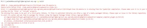 Can Not Use My Local Angular Npm Library Local Registry Issue Angular Angular