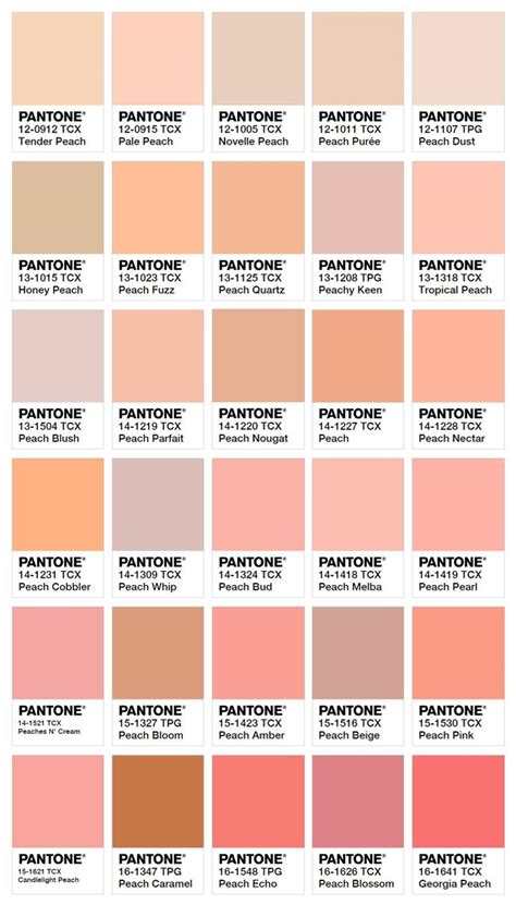 5 причин заново влюбиться в персиковый цвет | Nude color palette, Peach ...