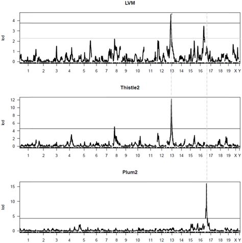 Qtl Mapping Of The Thistle2 And Plum2 Modules The Graphs Represent The Download Scientific