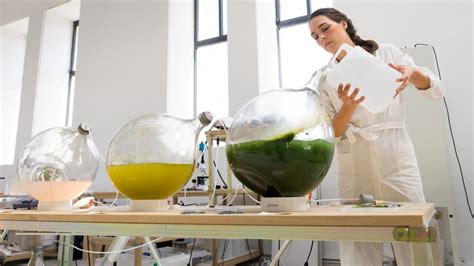 Dutch Designers Convert Algae Into Bioplastic For 3d Printing