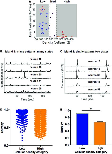 Information Entropy In Islands Of Varying Densities A Selected