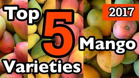 Truly Tropicals Top 5 Mango Varieties For 2017 Youtube