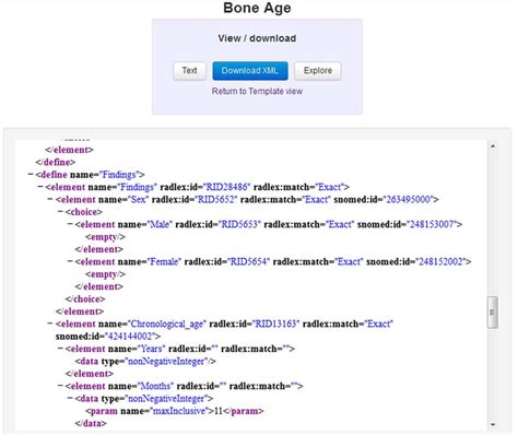 A Sample Of Xml Encoded Reporting Template Colors Are Visible In The