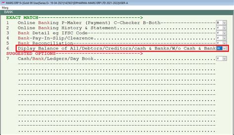 How To Hide Cash And Bank Balance From The Ledger Window In Marg Software
