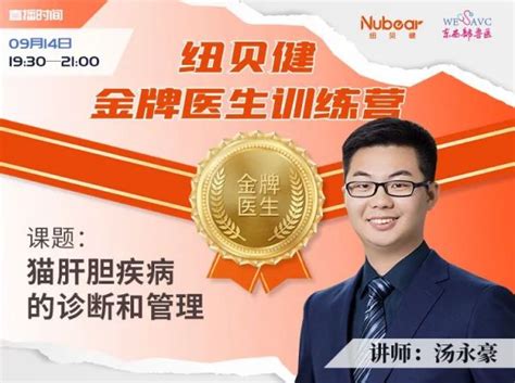 东西部V课纽贝健金牌医生训练营 猫肝胆疾病的诊断和管理 培训 维宠宠物导航网