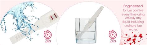 Skylety 3 Pack Fake Pregnancy Test Prank Kit April Fools