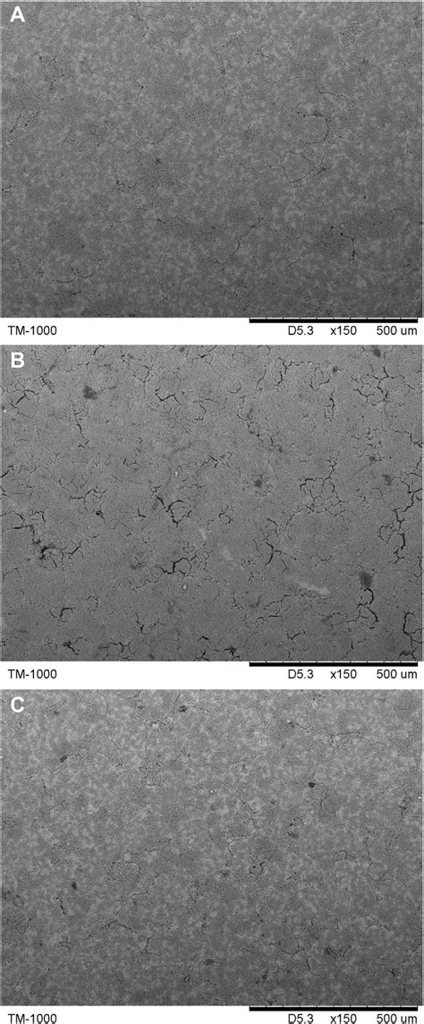 Scanning Electron Microscopy Of The Eggshell External Surface Of Laying Download Scientific