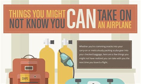 What Is Allowed On An Airplane This Infographic Reveals The Bizarre Items Daily Mail Online