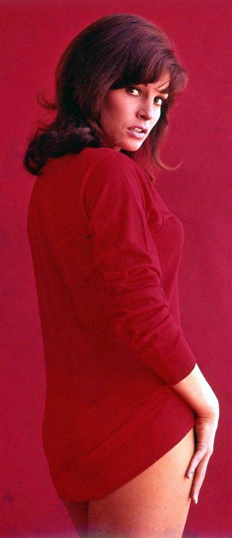 Pin By Steve Stewart On Raquel Welch Raquel Welch Raquel Sweater