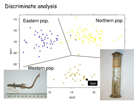 PPT Construction Of A DNA Barcode System For Amphibians And Reptiles In Taiwan PowerPoint