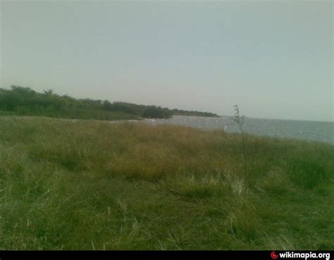 Anwar Hassan Fish Farm