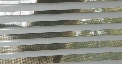 The Squirrels Are Attacking The Squirrels Are Attacking Imgur