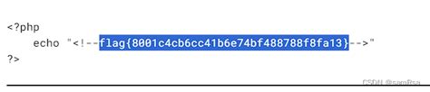 云演ctf 你能看到我吗 Csdn博客