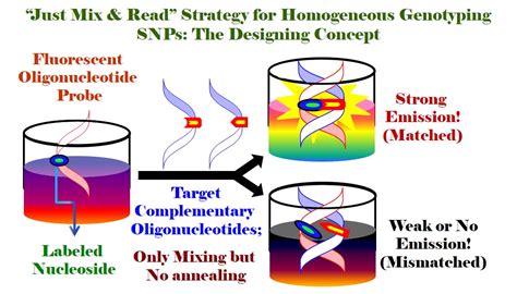 Jmrs Snps Genotyping Personalizedmedicine