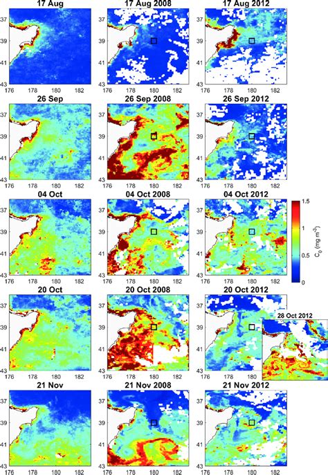 Surface Chlorophyll Derived From Modis Satellite For Selected Days