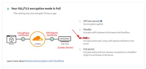 Configure Cloudflare To Use Full Encryption With Caddy Self Signed