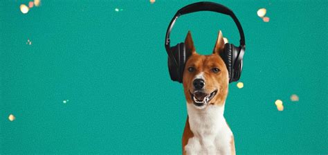 Гайд по установке Docker на Ubuntu 2204