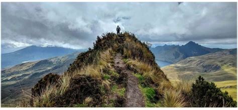 Universal Ethical Principles For A Better World