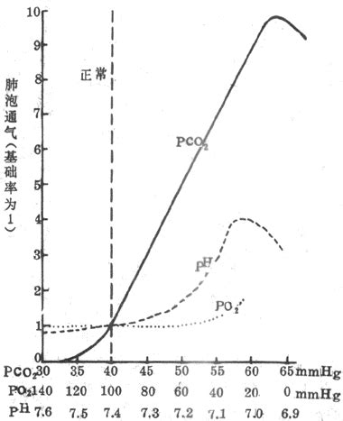 PCO2H 和PO2在影响呼吸中的相互作用 生理学 中医综合书籍 岐黄之术