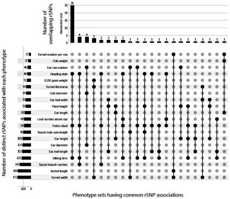 Number Of Associated Rsnps Determined By The Incremental Feature Download Scientific Diagram