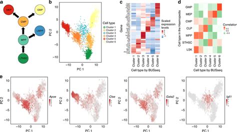 Busseq Preserves The Hematopoietic Stem And Progenitor Cells Hspc Download Scientific Diagram