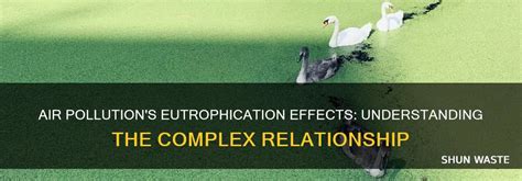 Air Pollutions Eutrophication Effects Understanding The Complex