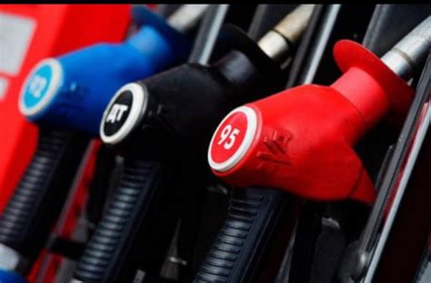 🇷🇺ОХУ ын засгийн газар Tusgaar Mn Тусгаар Монголын Мэдээ