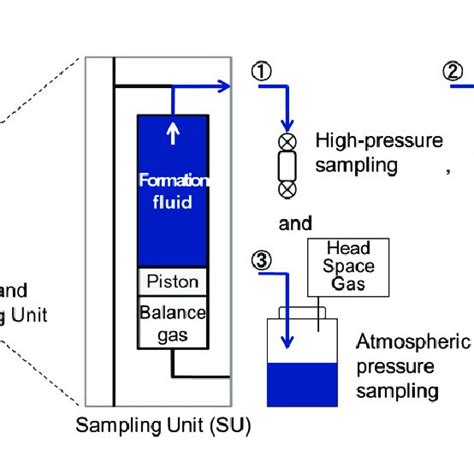 Schematic Showing Fluid Sampling Procedure Download Scientific Diagram