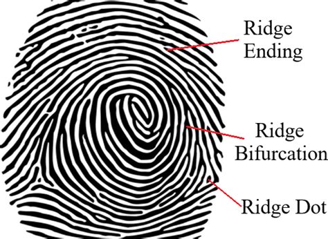 How Does The Fingerprint Door Lock Work