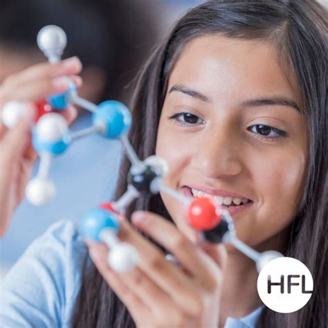 Stem Stemeducation Womeninscience Hfl Education