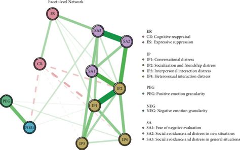 Emotional Granularity And Cognitive Reappraisal Affect Social Anxiety And Interpersonal