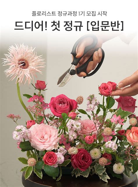 24년 정규과정 마지막 신청 플로리스트 마스터 입문 A B 8주 과정