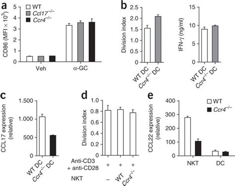 Alternative Cross Priming Through Ccl17 Ccr4 Mediated Attraction Of Ctls Toward Nkt Cell