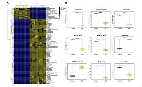Differential Metabolite Heat Map And Biomarker Identification A