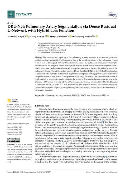 Pdf Dru Net Pulmonary Artery Segmentation Via Dense Residual U Network With Hybrid Loss Function