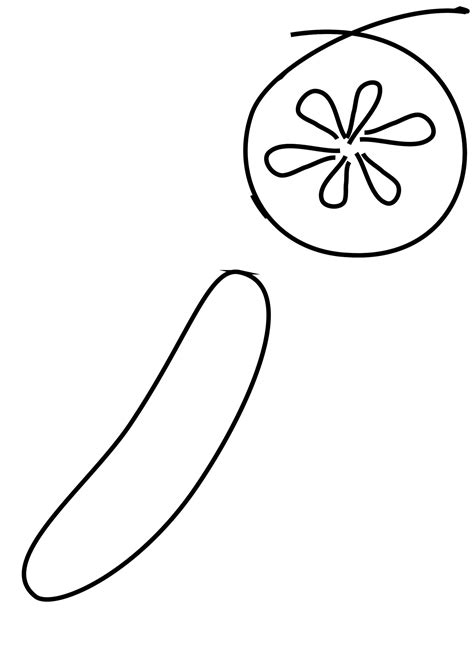 How To Draw A Cucumber Tips And Techniques Trying Drawing