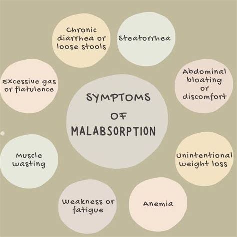 Symptoms Of Malabsorption Medizzy