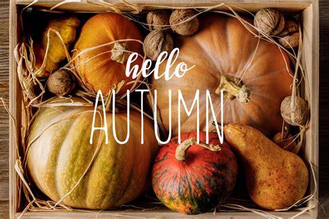 100 Hello Fall Wallpapers
